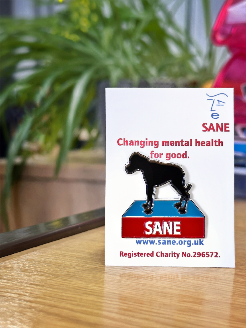 SANE Supporter Bundle – Changing mental health for good